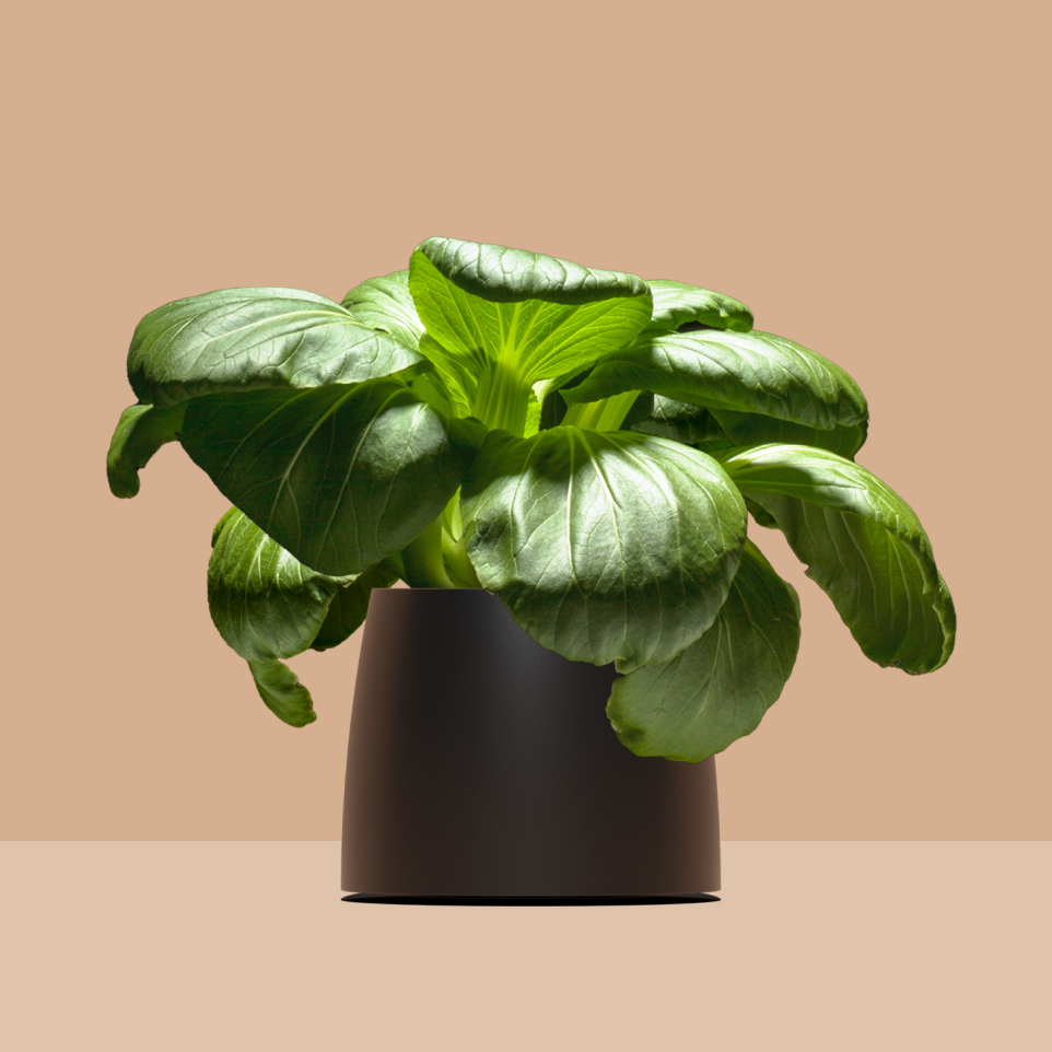 HydroPod | The Arium Shop