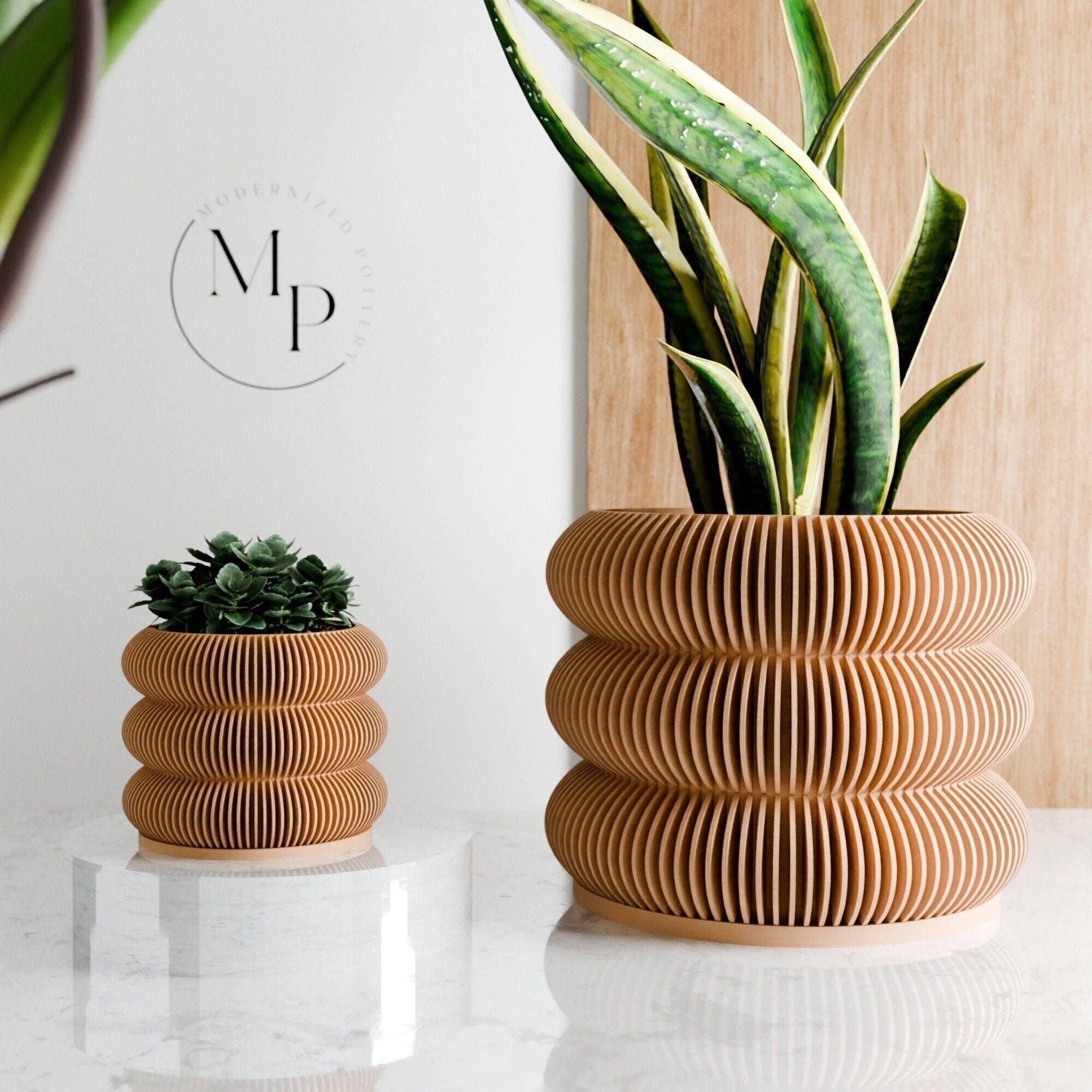 Triple BUBBLES Planter: Natural Wood, 8" | The Arium Shop