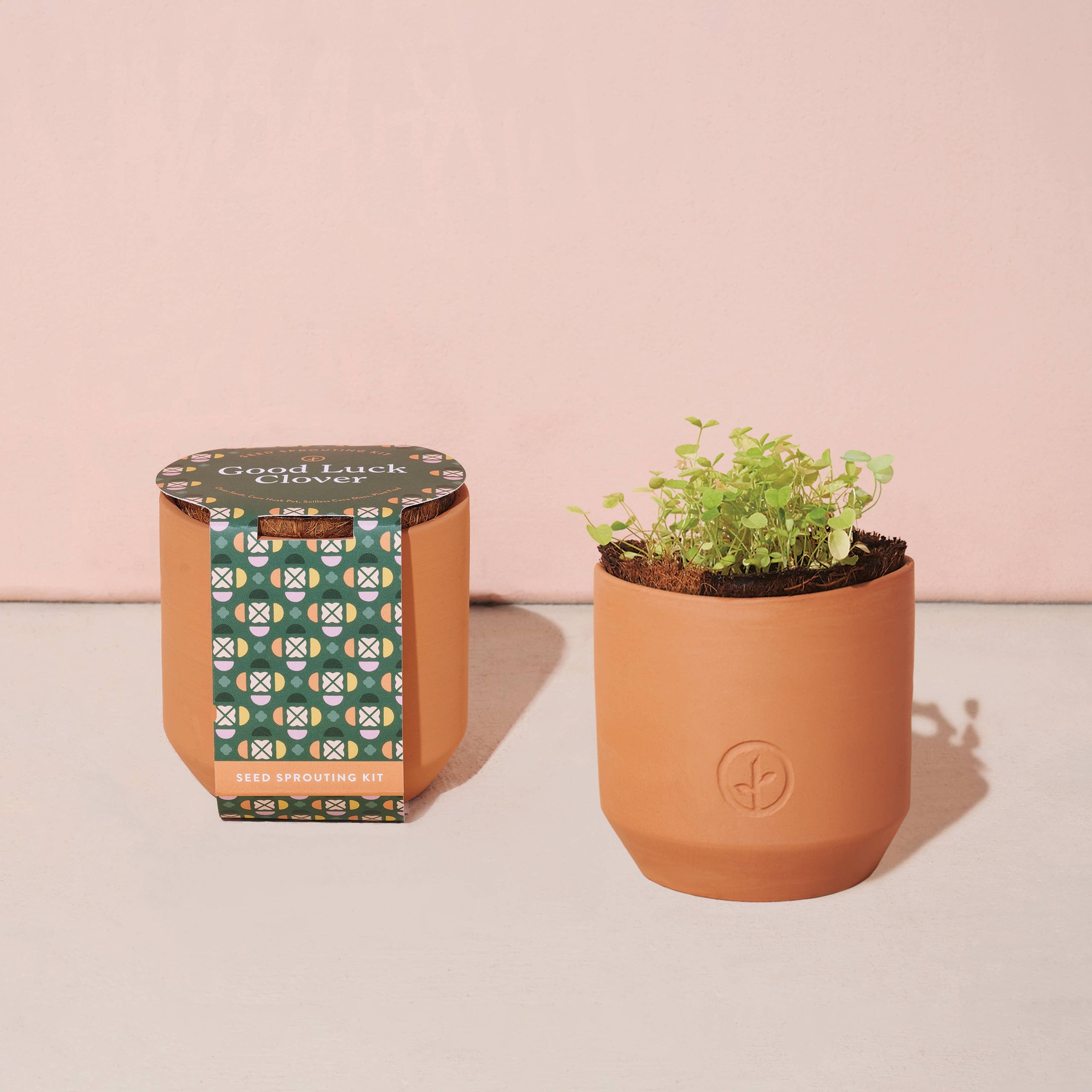 Tiny Terracotta Grow Kits: Good Luck Clover | The Arium Shop